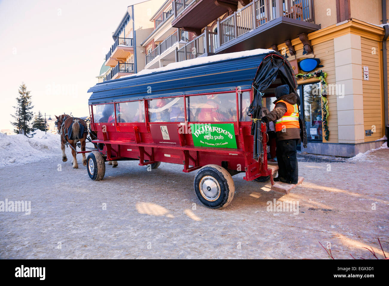 Adults and kids skiing in the winter horse and carriage hi-res stock ...