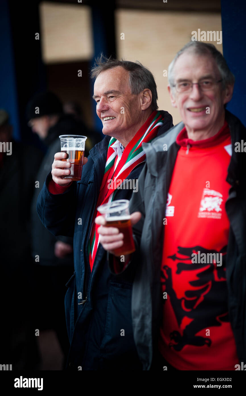 Welsh rugby supporters in scarves and shirts drinking in a bar before ...