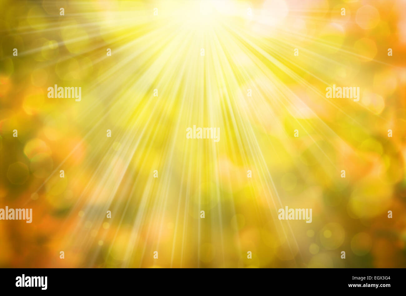 Sunny abstract autumn nature background Stock Photo - Alamy