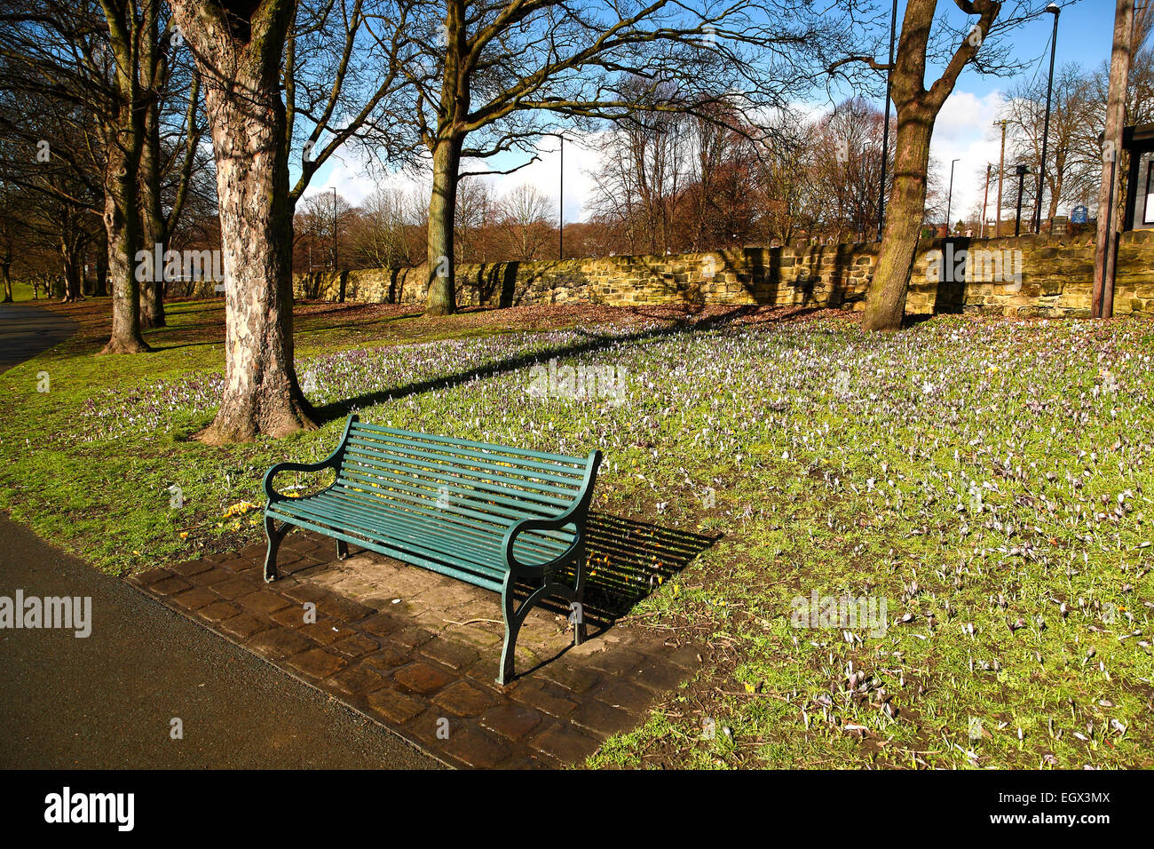 Empty park bench surrounded by crocuses at Kirkstall Abbey, Leeds, West ...