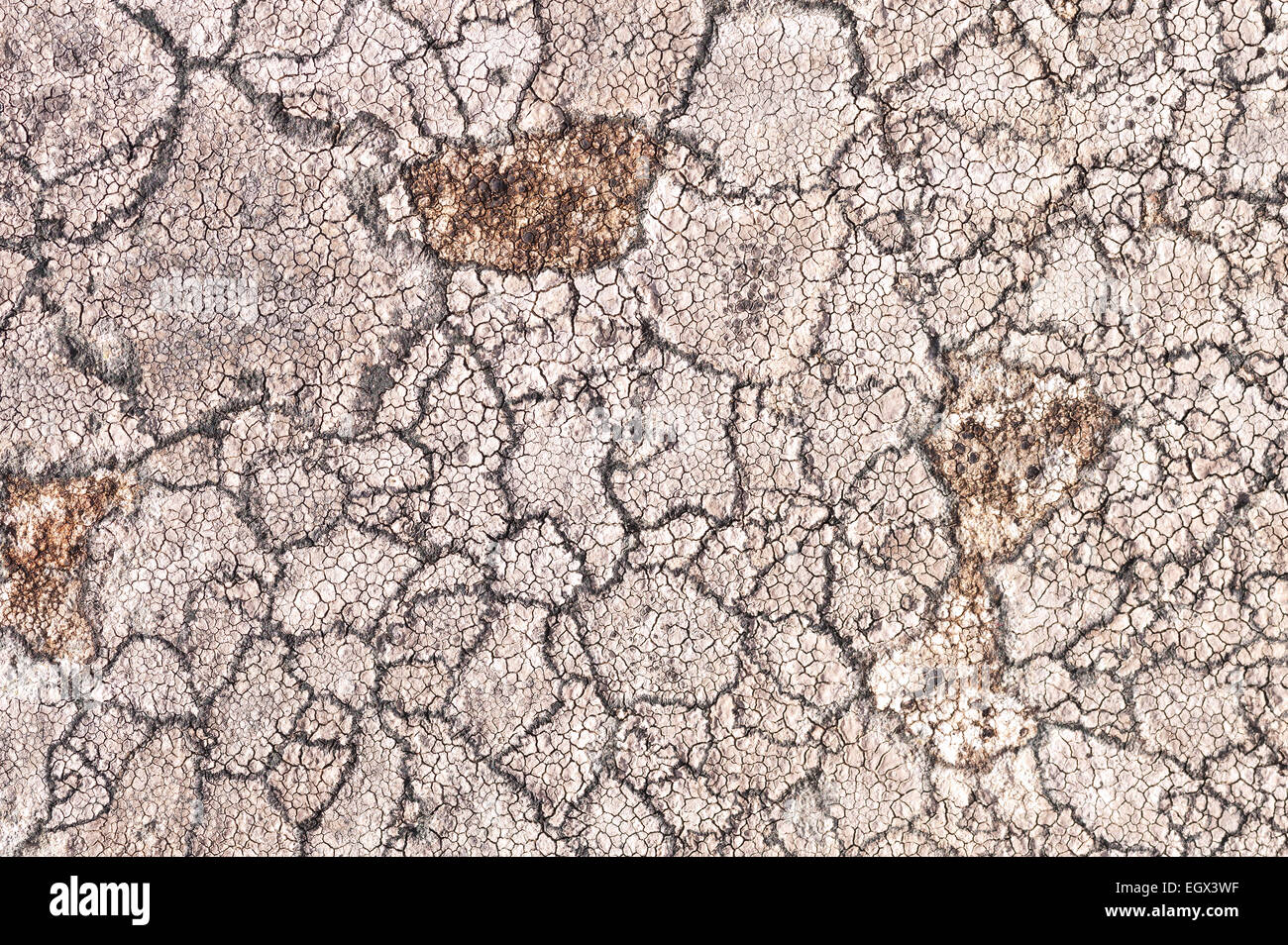 Micro ridges hi-res stock photography and images - Alamy