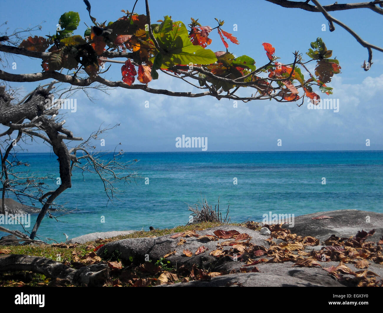 landscape with blue sea in madagascar Stock Photo - Alamy