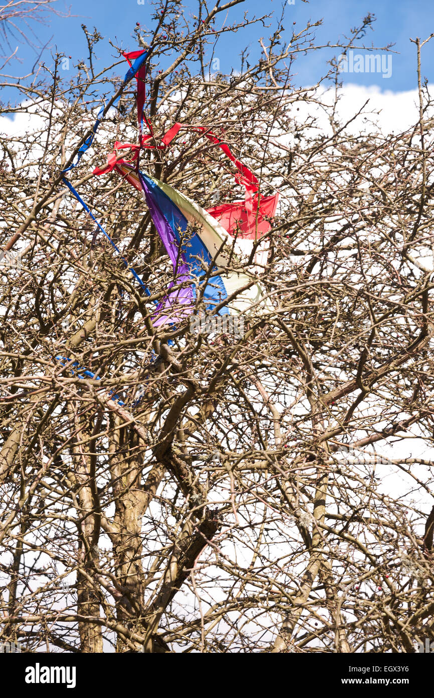 Ripped remains of torn and tattered kite snarled and caught up in the ...