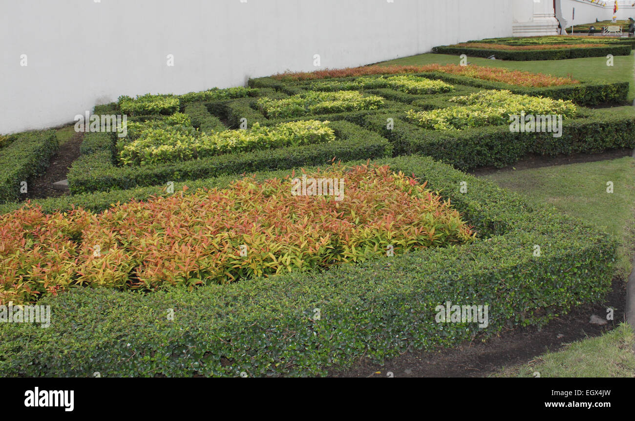 manicured lawn with beautiful plants of different colors Stock Photo ...