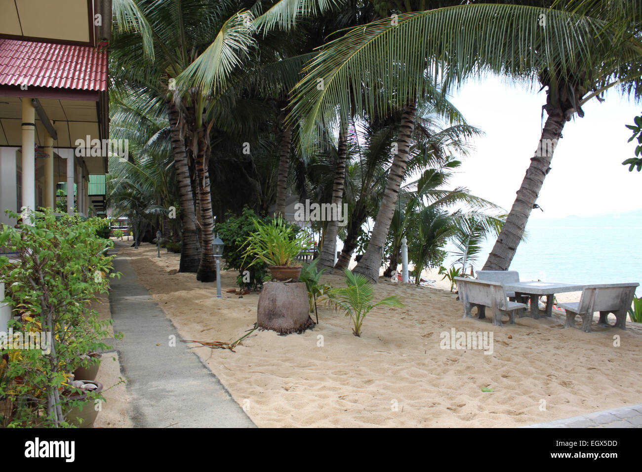 view of the beach with palm trees on the island of Koh Samui, Thailand ...