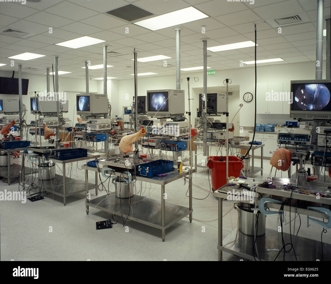 Scientific laboratory with benches and monitors Stock Photo - Alamy