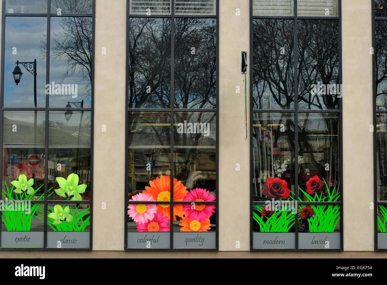 Digital storefront design hi-res stock photography and images - Alamy