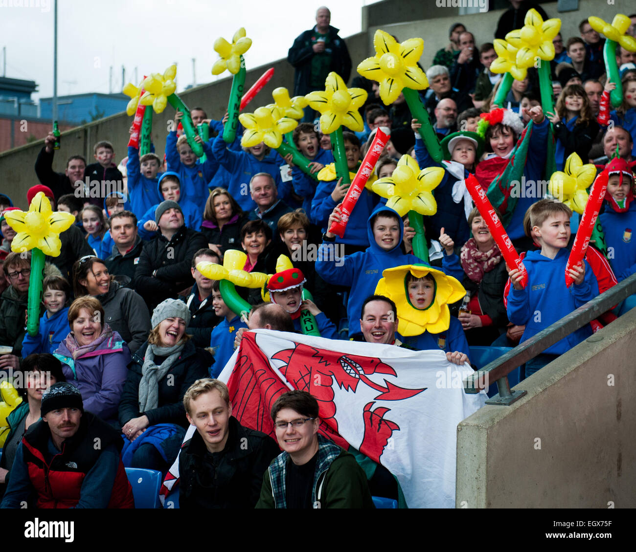 London Welsh rugby supporters celebrating on Saint David's Day (March ...
