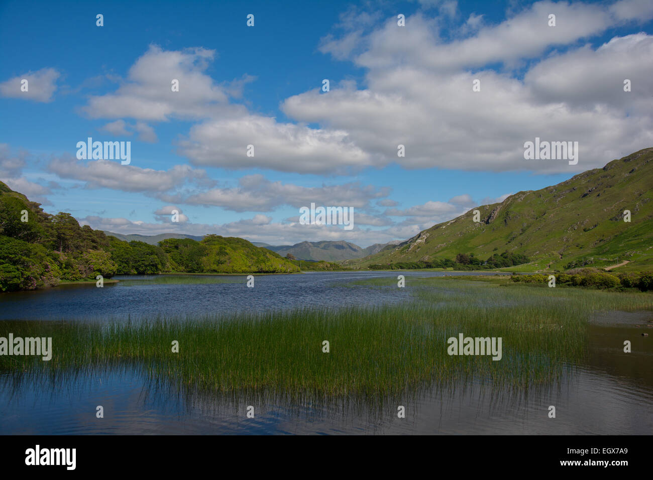 Kylemore abbey ireland hi-res stock photography and images - Alamy