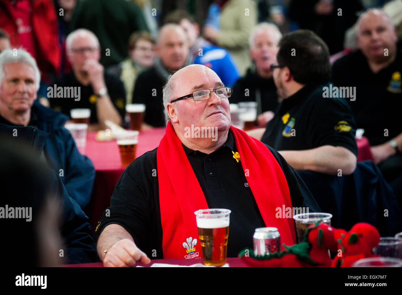 Welsh rugby supporters in scarves and shirts drinking in a bar before ...