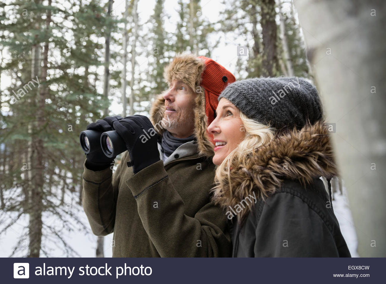 Man with binoculars tree hi-res stock photography and images - Alamy