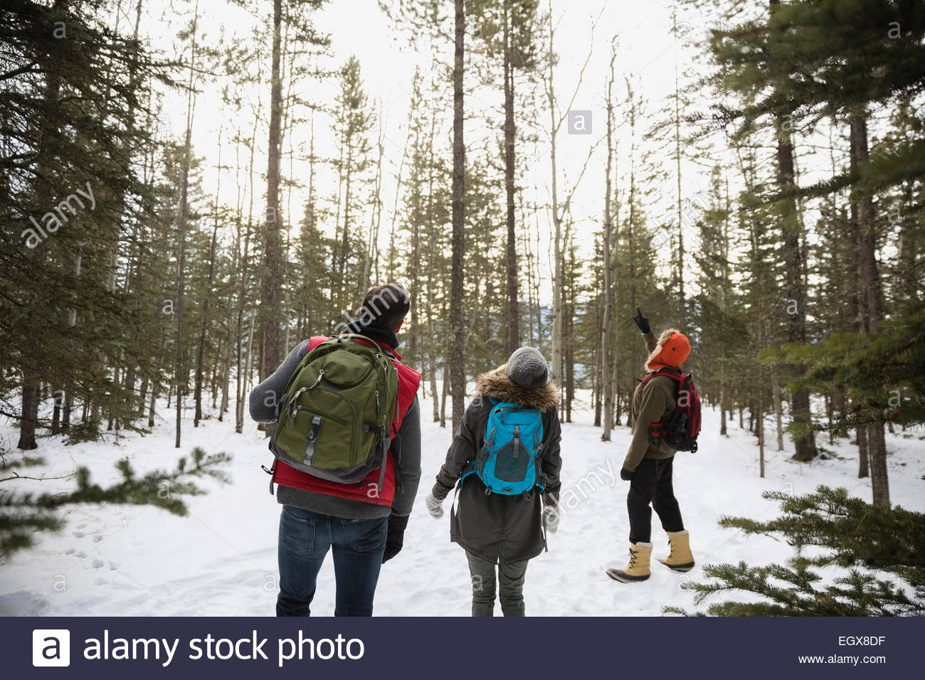 Friends backpacking in snowy woods Stock Photo - Alamy