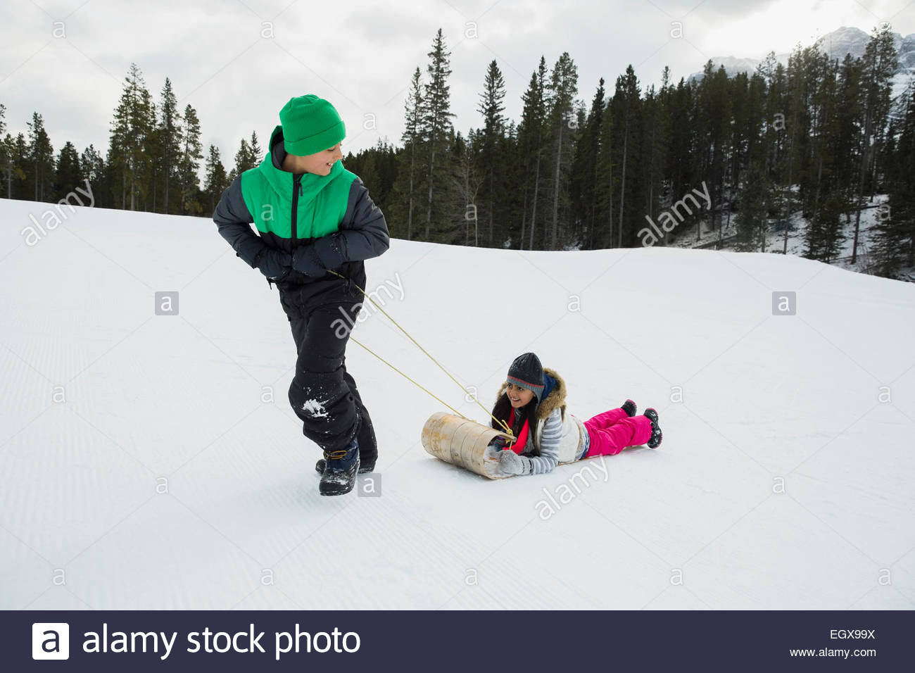 Pulling sled hi-res stock photography and images - Alamy