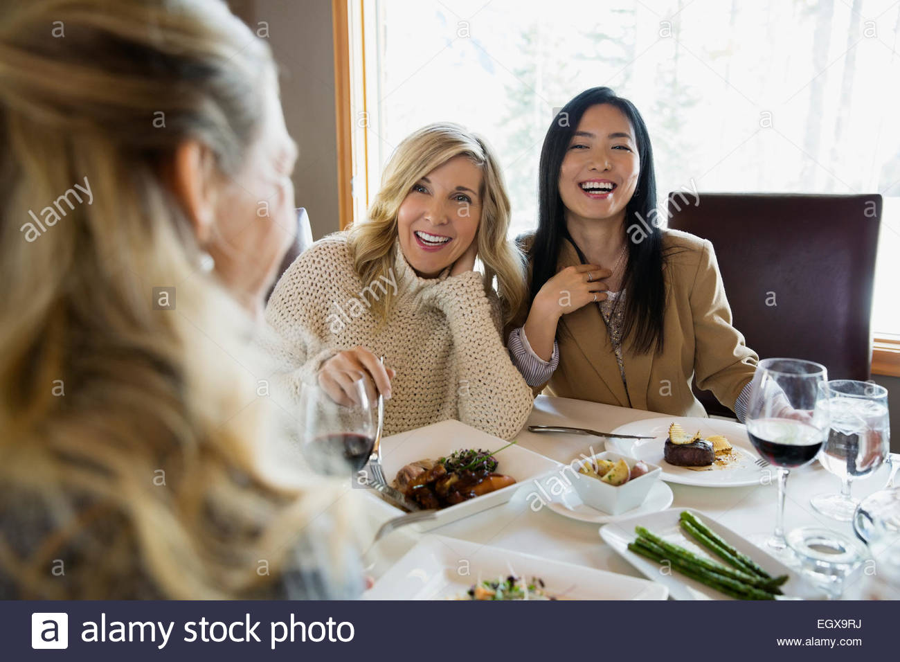People laughing at dinner table hi-res stock photography and images - Alamy