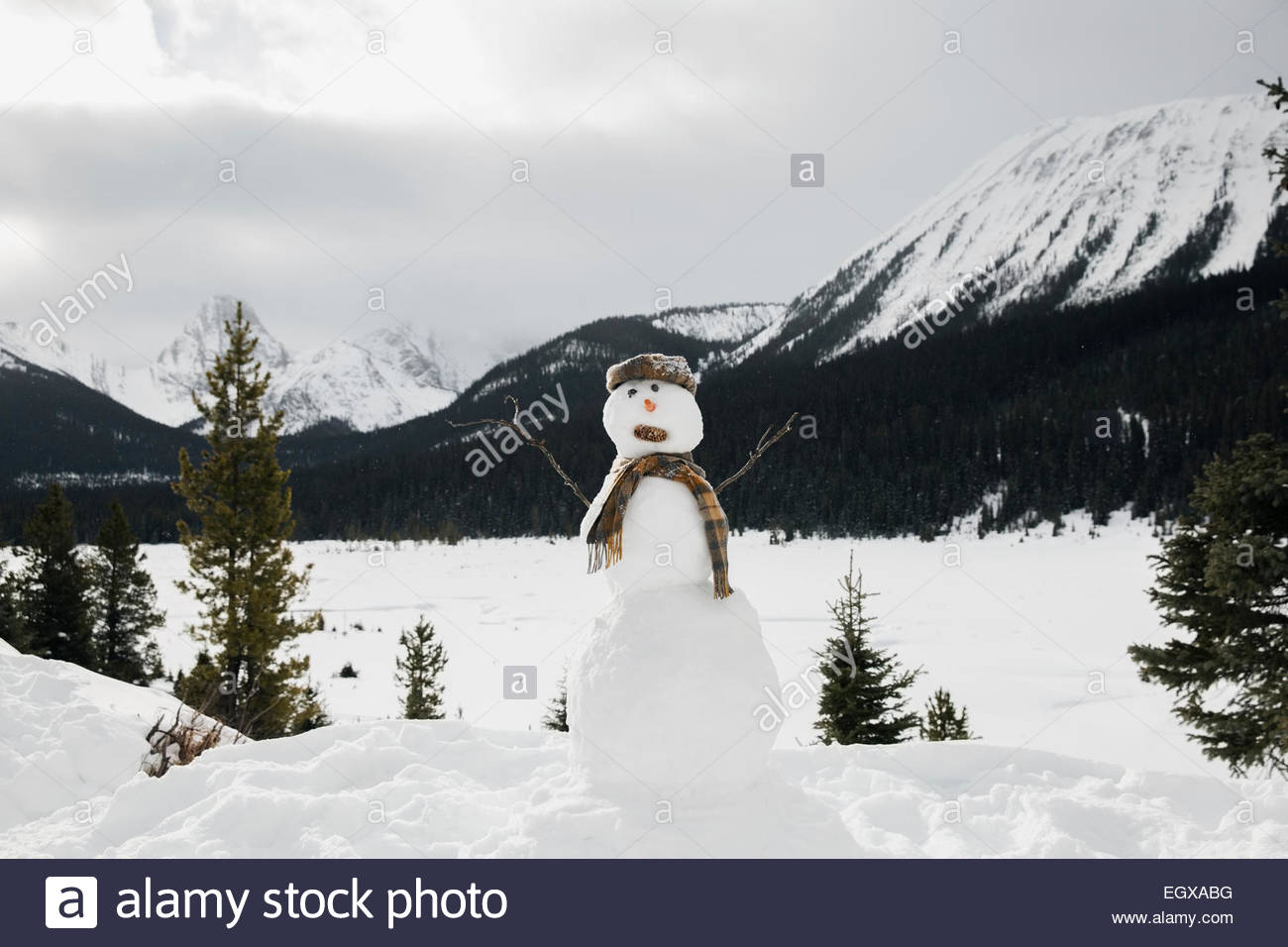 Field in front of mountains hi-res stock photography and images - Alamy