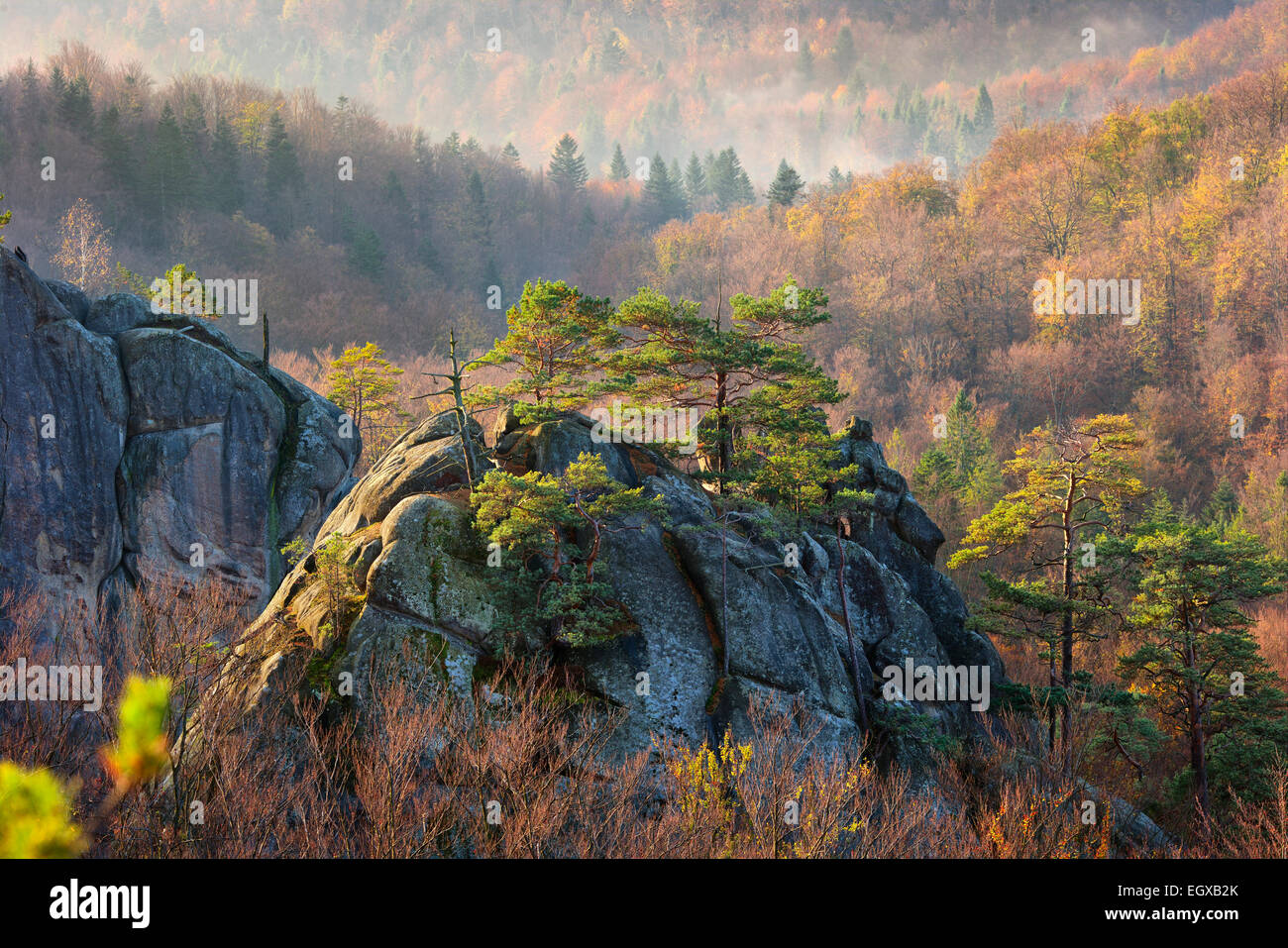 Tree look of mountains High Resolution Stock Photography and Images - Alamy