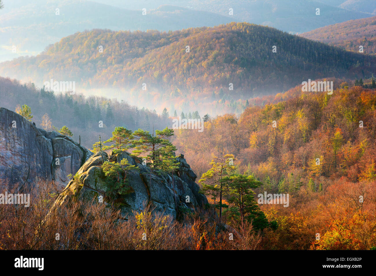 among autumn forest look big rocks overgrown with trees Stock Photo - Alamy