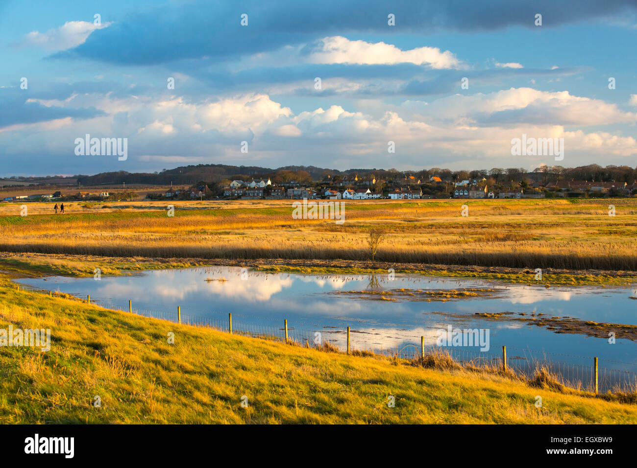 Salt marsh at the north sea hi-res stock photography and images - Alamy