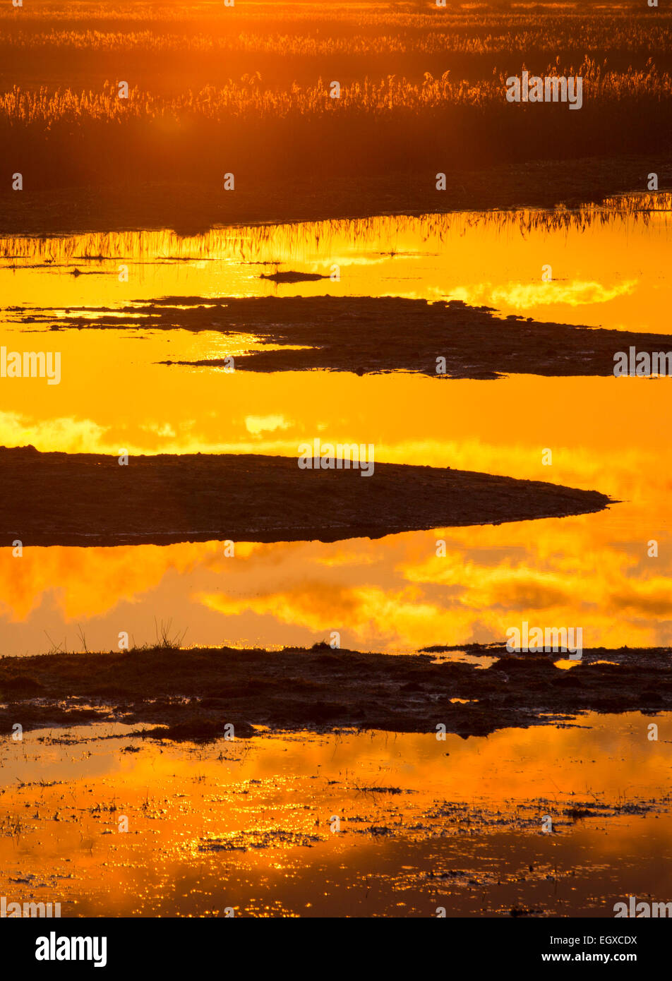 Marsh sunset hi-res stock photography and images - Alamy