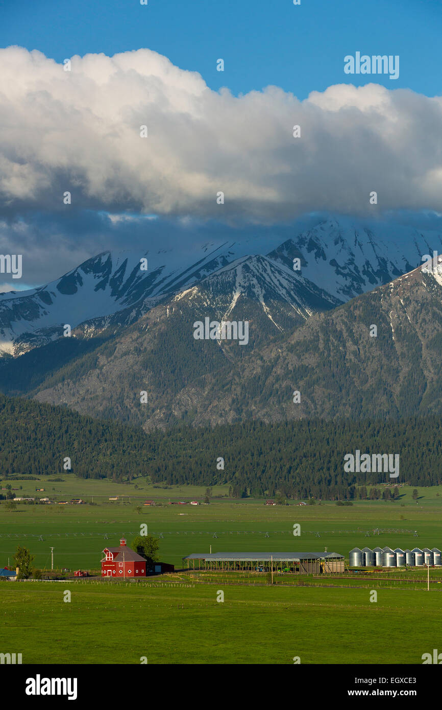 Cows and red barn hi-res stock photography and images - Alamy