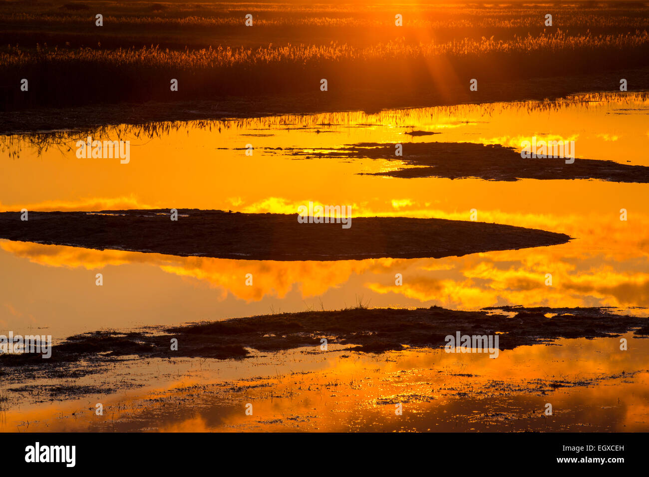 Salt marsh sunset landscape hi-res stock photography and images - Alamy