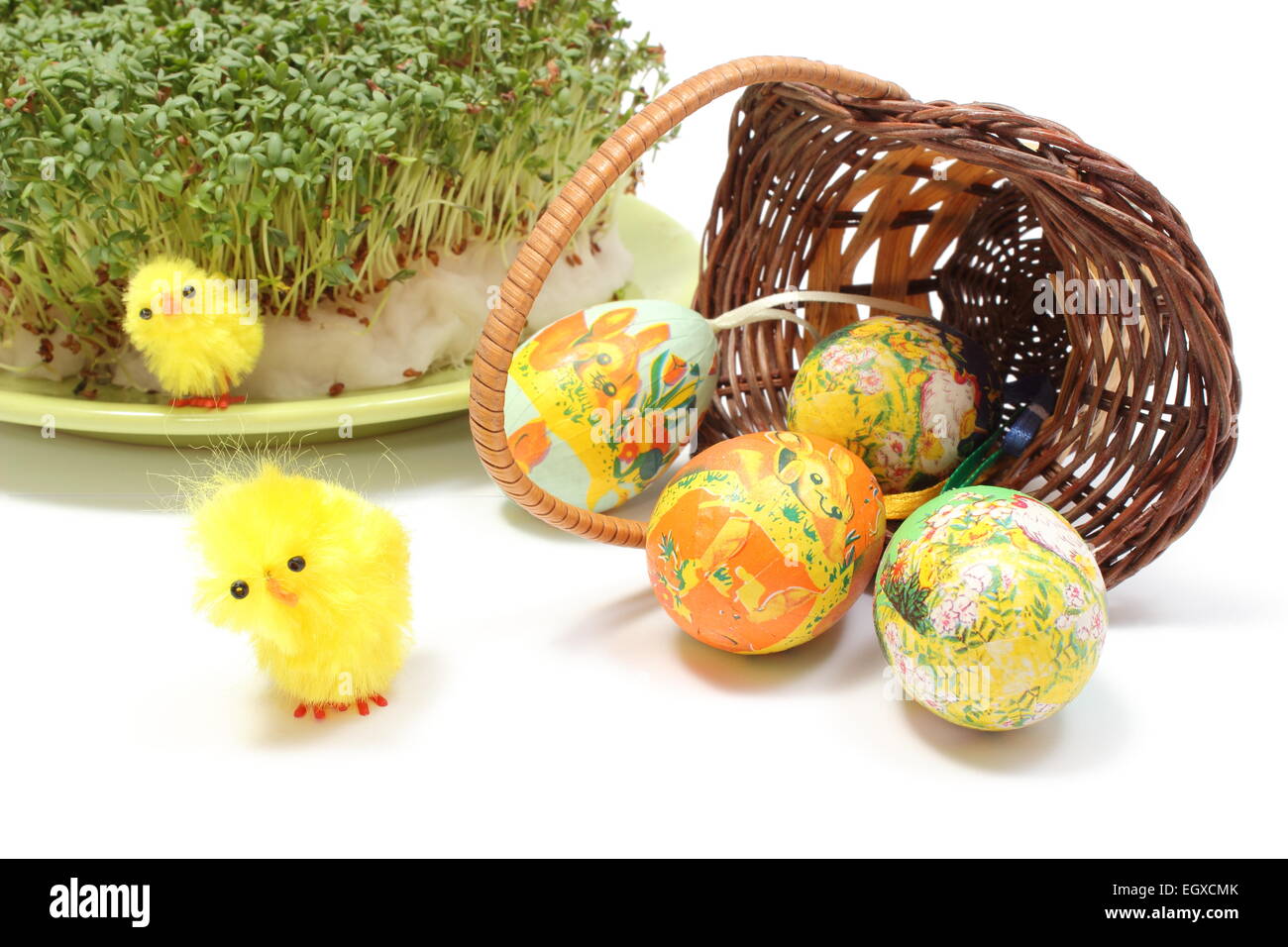 Cuckoo egg hi-res stock photography and images - Alamy