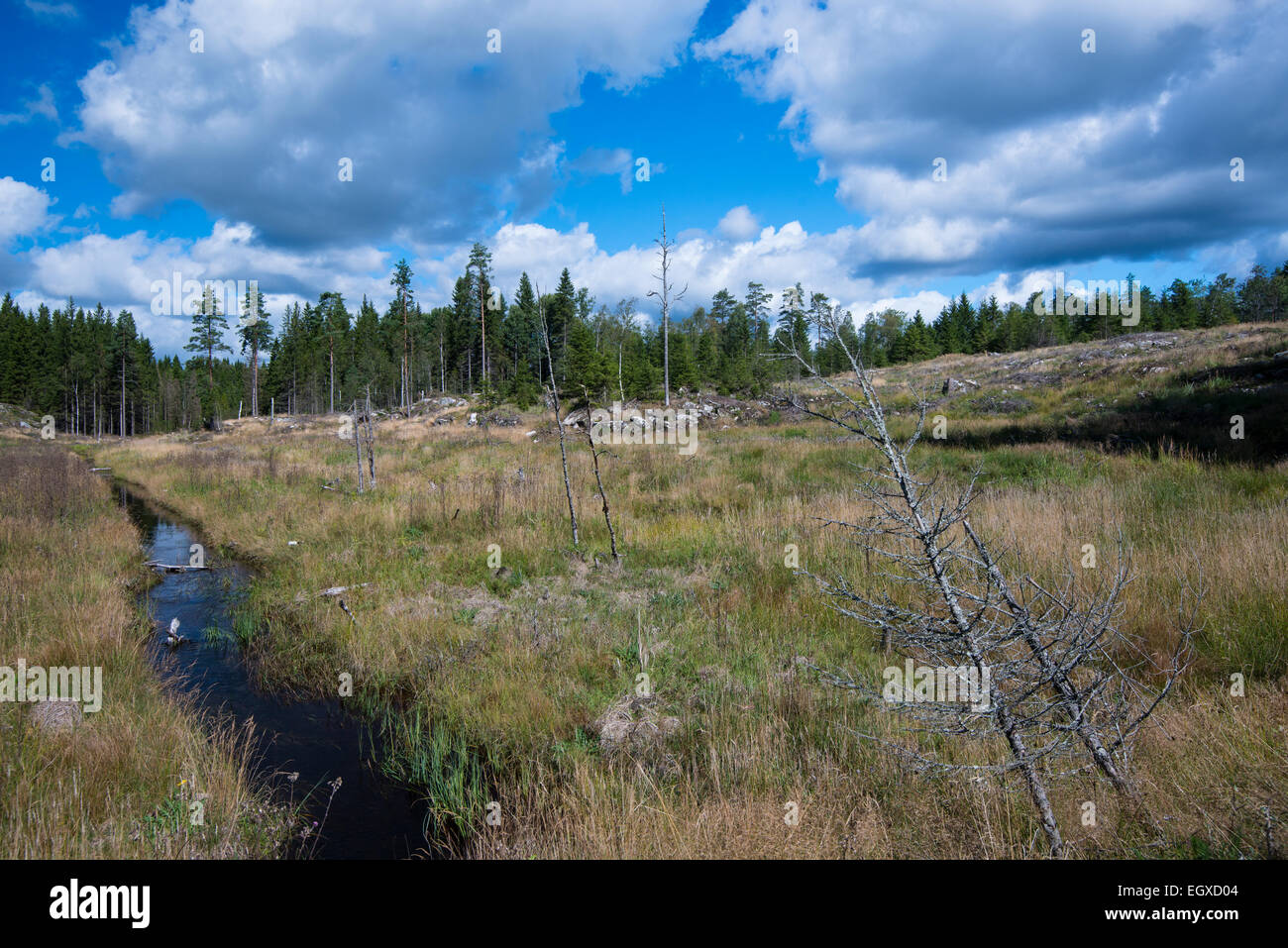 Swedish hiking trails hi-res stock photography and images - Alamy