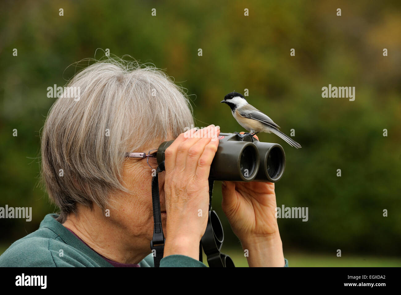 Human bird interactions hi-res stock photography and images - Alamy