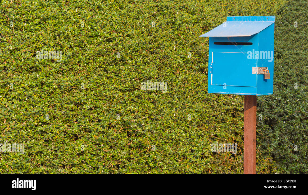 Mailbox in front of Siamese rough bush texture Stock Photo - Alamy