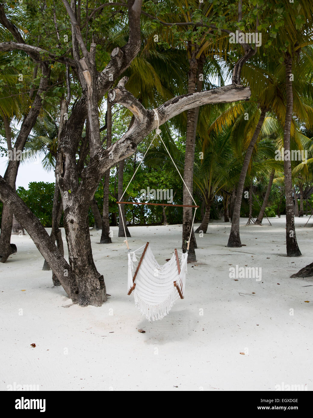 Suspended to a tree hi-res stock photography and images - Alamy