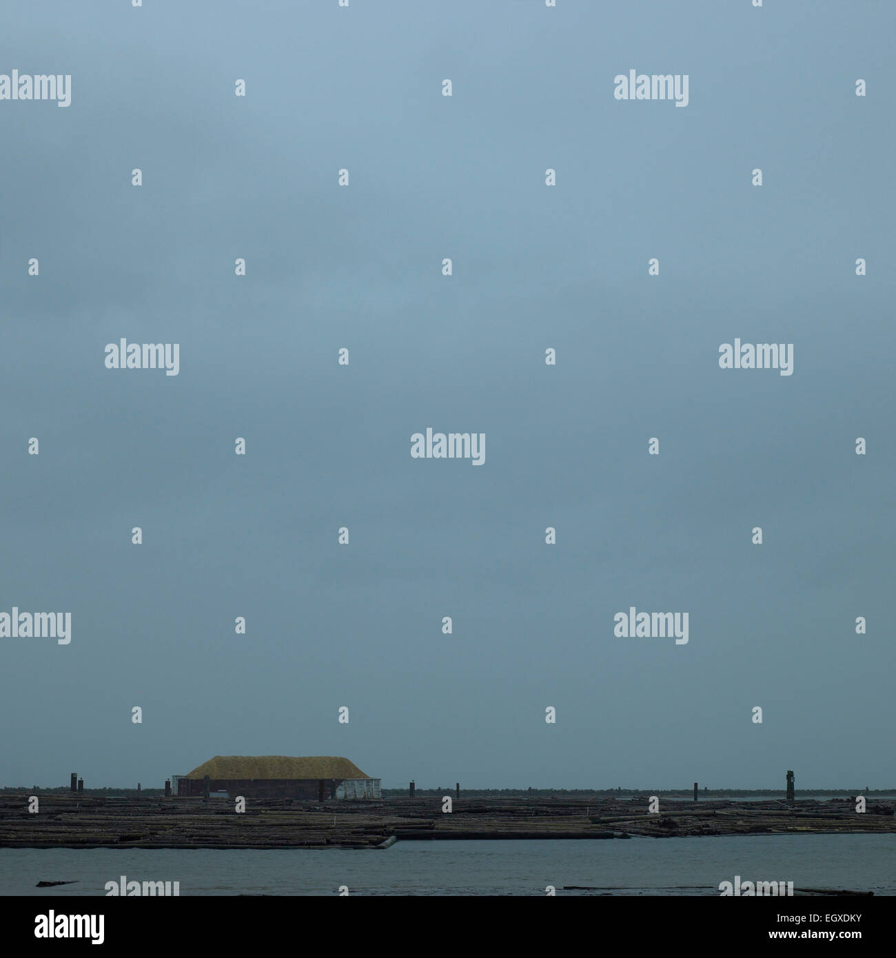 Full barge load and logs on the ocean Stock Photo - Alamy