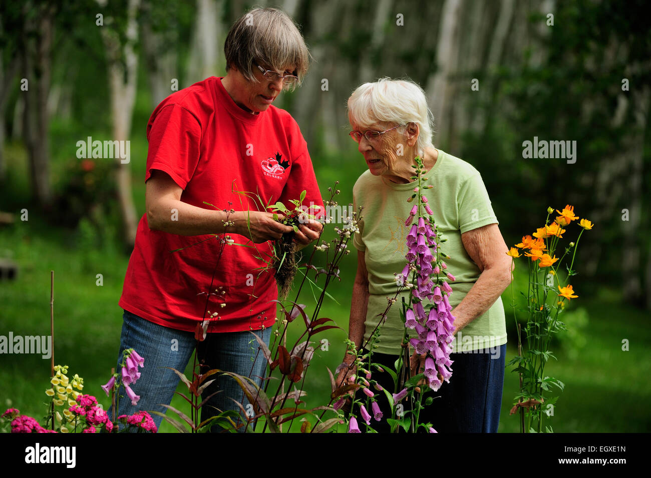 Elderly couple discussing garden hi-res stock photography and images ...