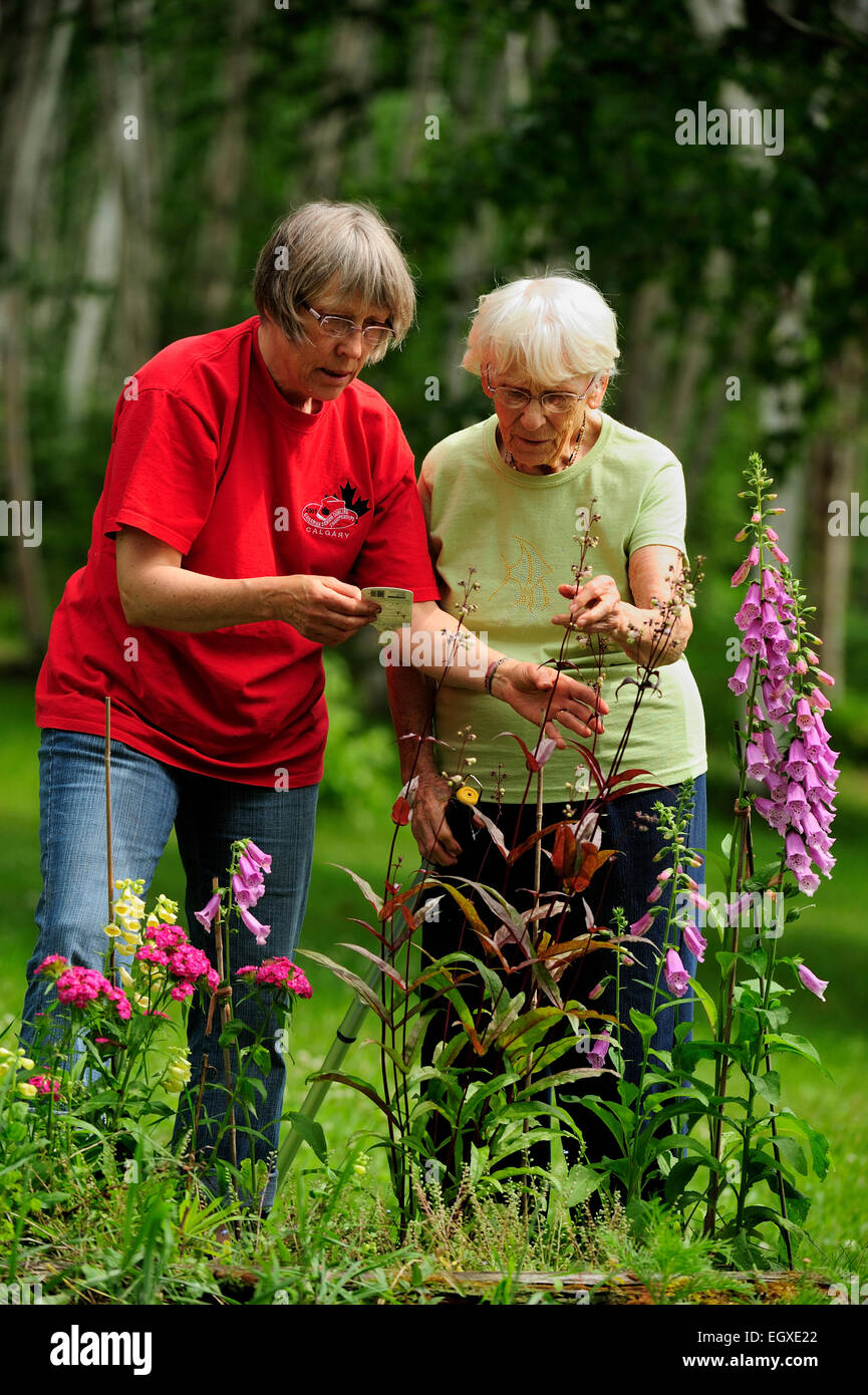 Mrs. Lil Punkari (age 86) discussing gardening issues with daughter ...