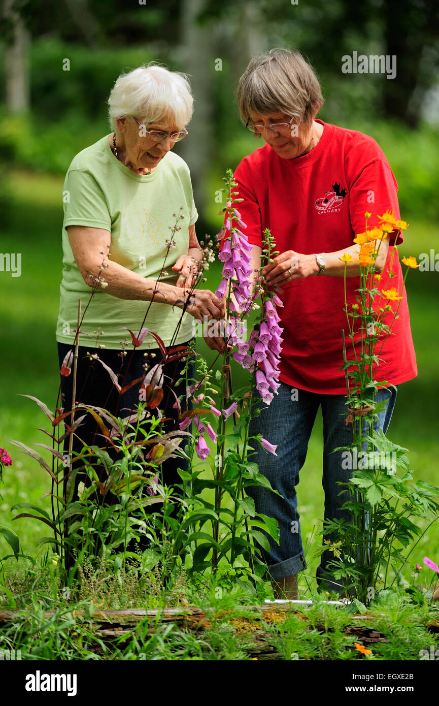 Mrs. Lil Punkari (age 86) discussing gardening issues with daughter ...