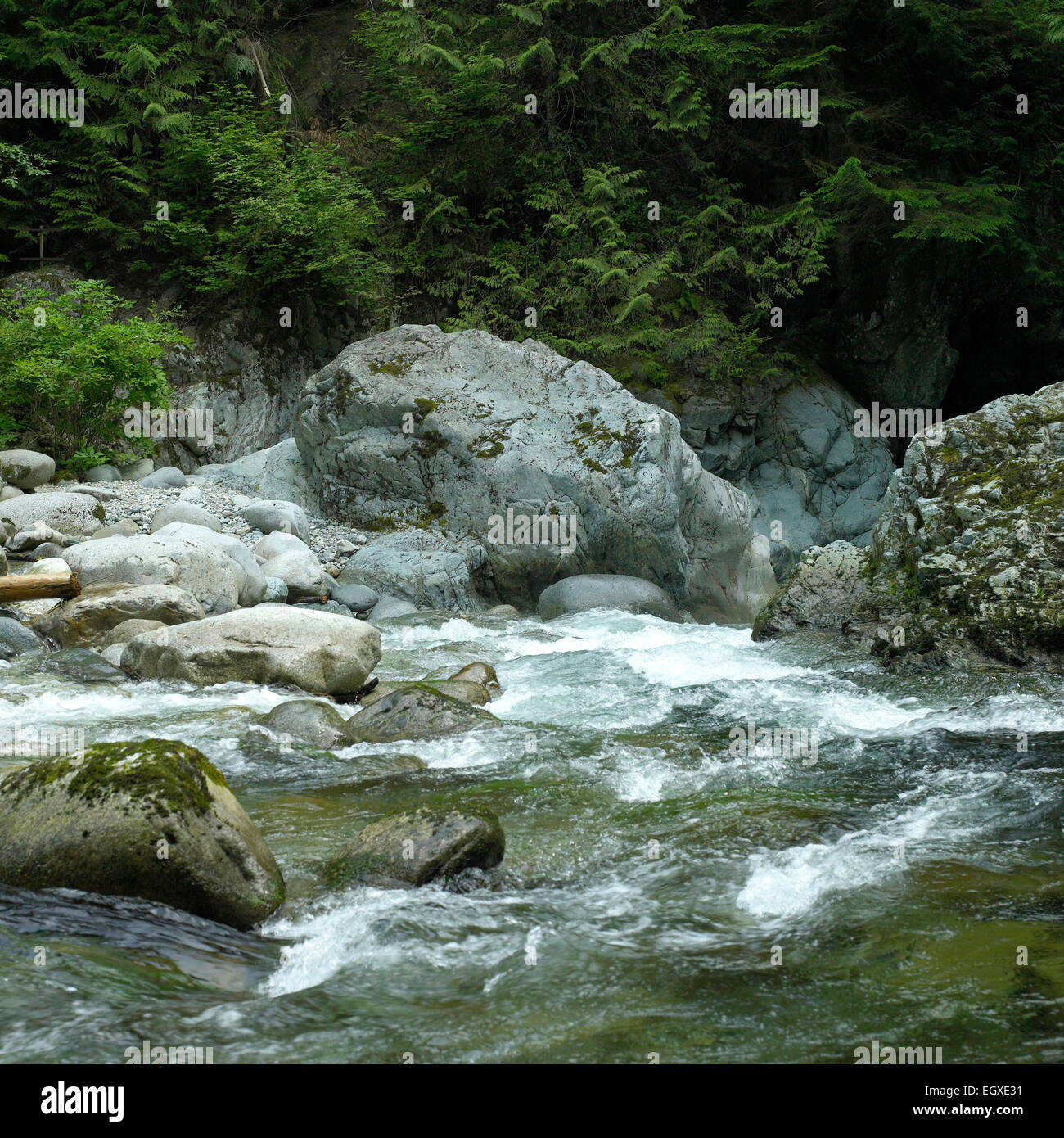 Clear mountain water flowing down a river Stock Photo - Alamy