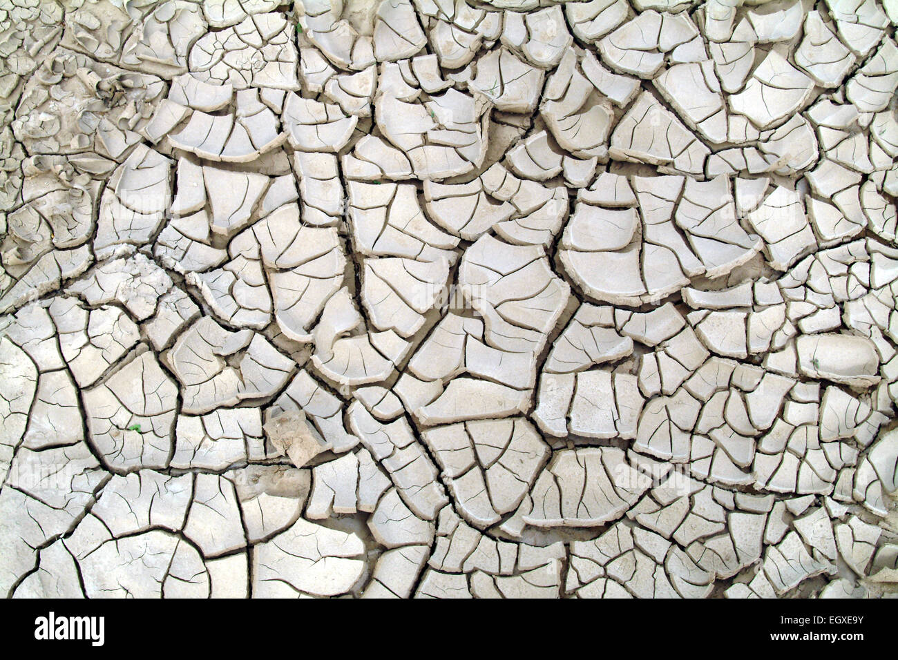 Cracked, dried mud on the floor of a drained lake bed Stock Photo - Alamy