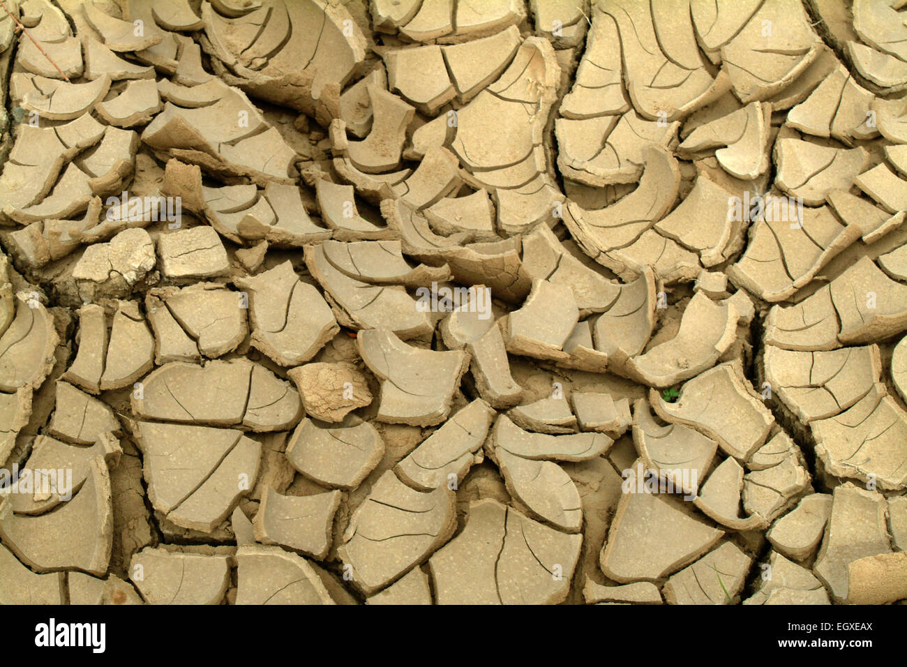 Cracked, dried mud on the floor of a drained lake bed Stock Photo - Alamy
