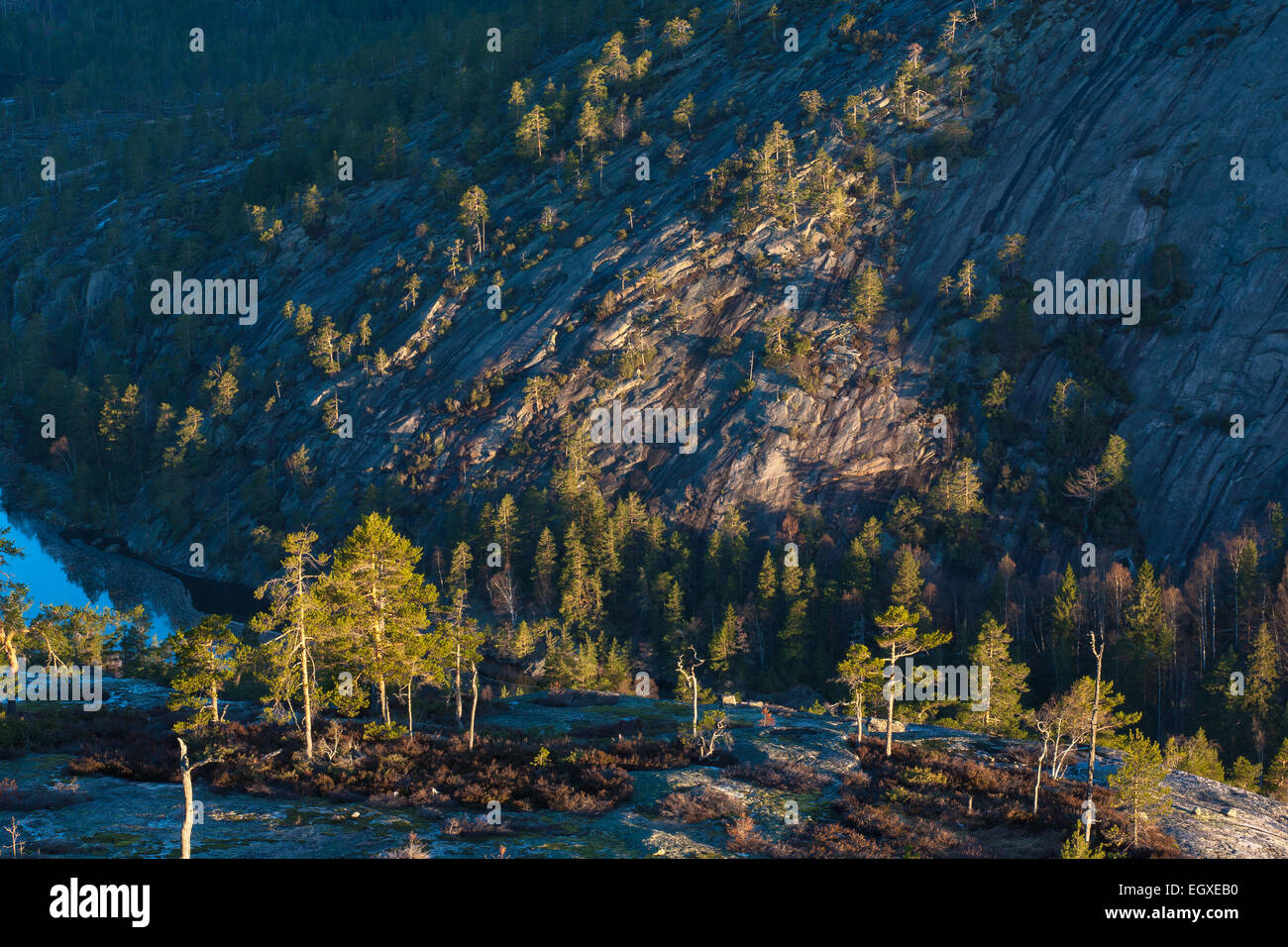 Nissedal valley hi-res stock photography and images - Alamy