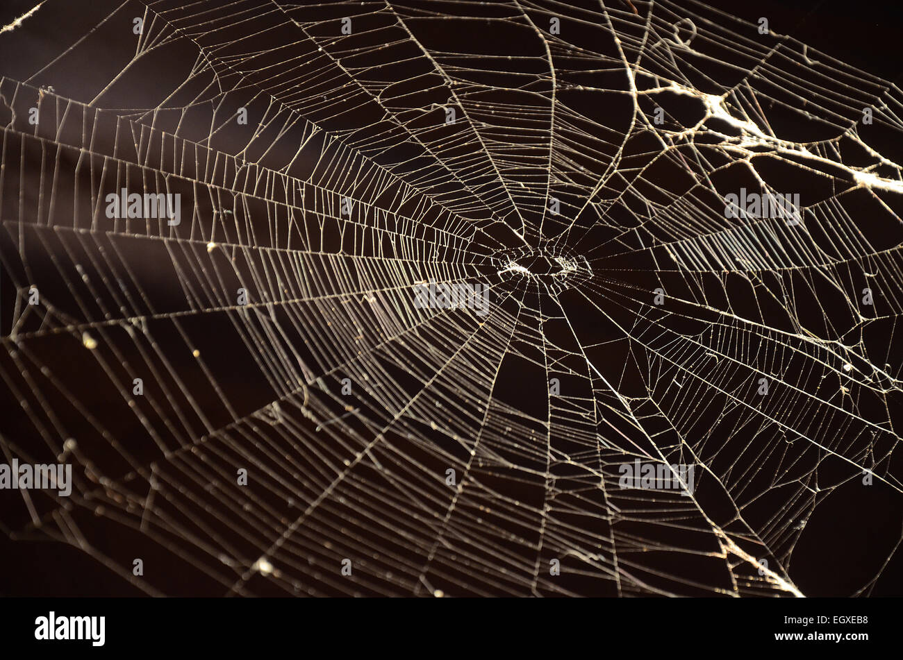 Web architecture hi-res stock photography and images - Alamy