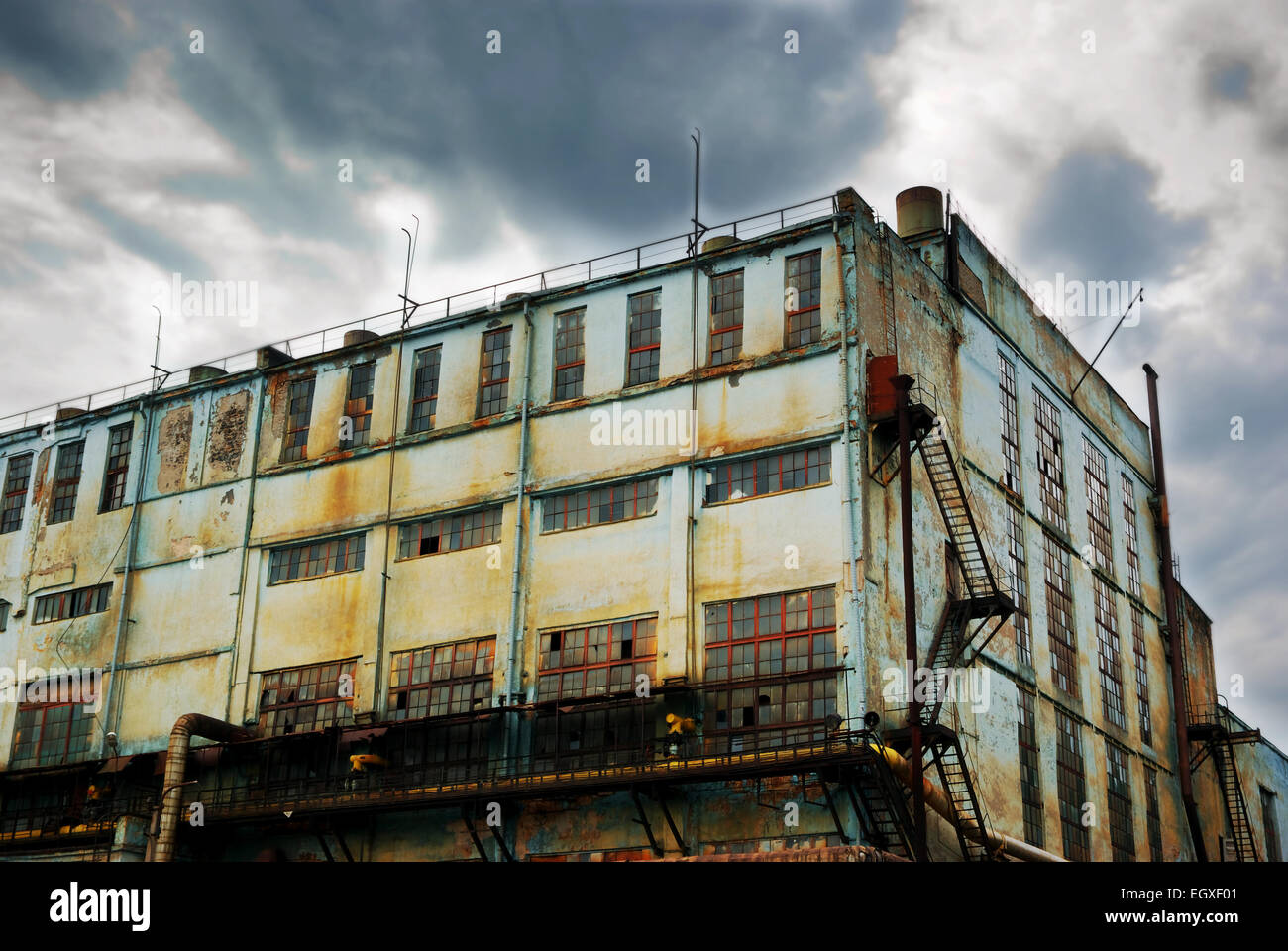 Old plant. Element of design Stock Photo - Alamy