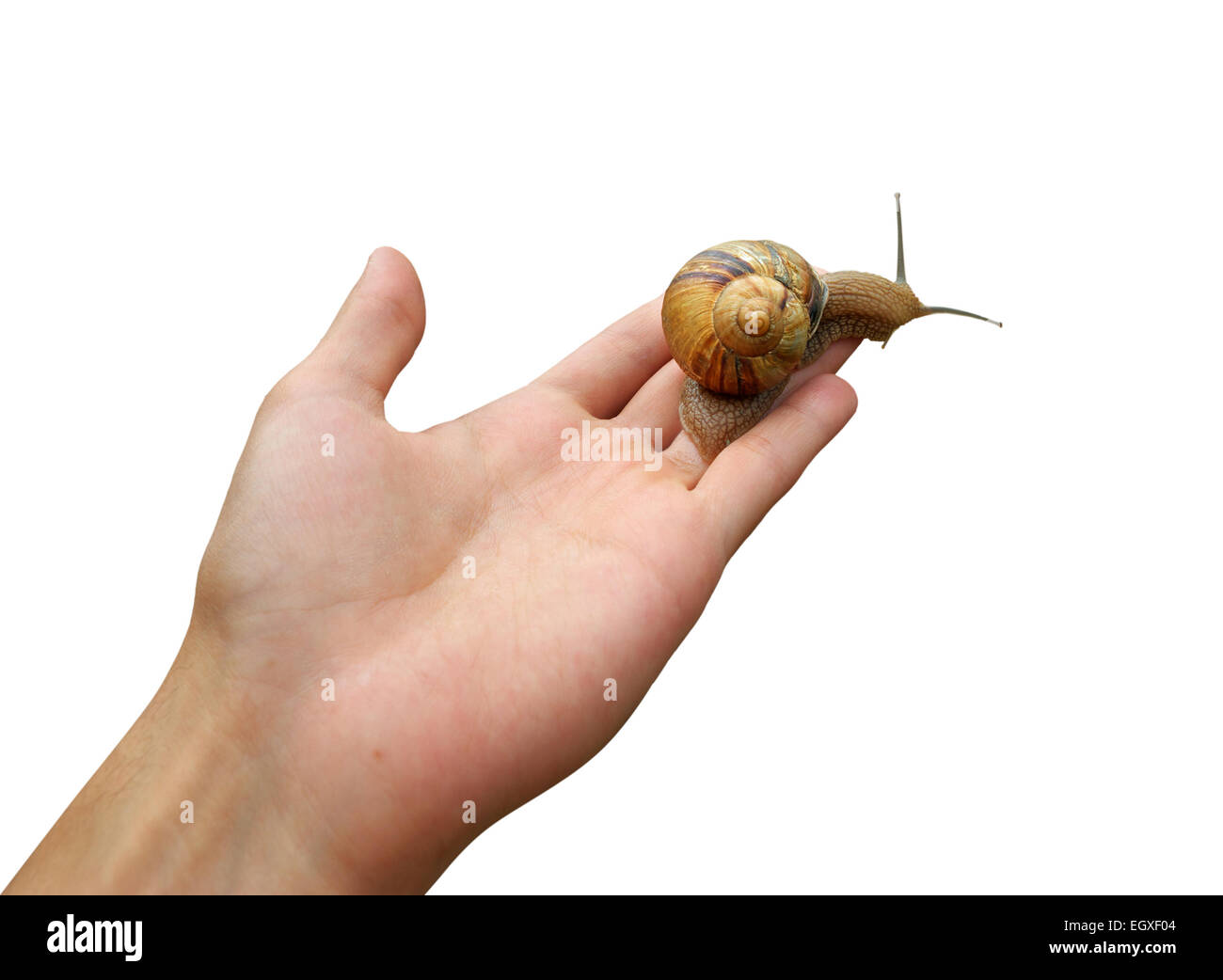 Snail on hand and deep sky. Conceptual design Stock Photo - Alamy