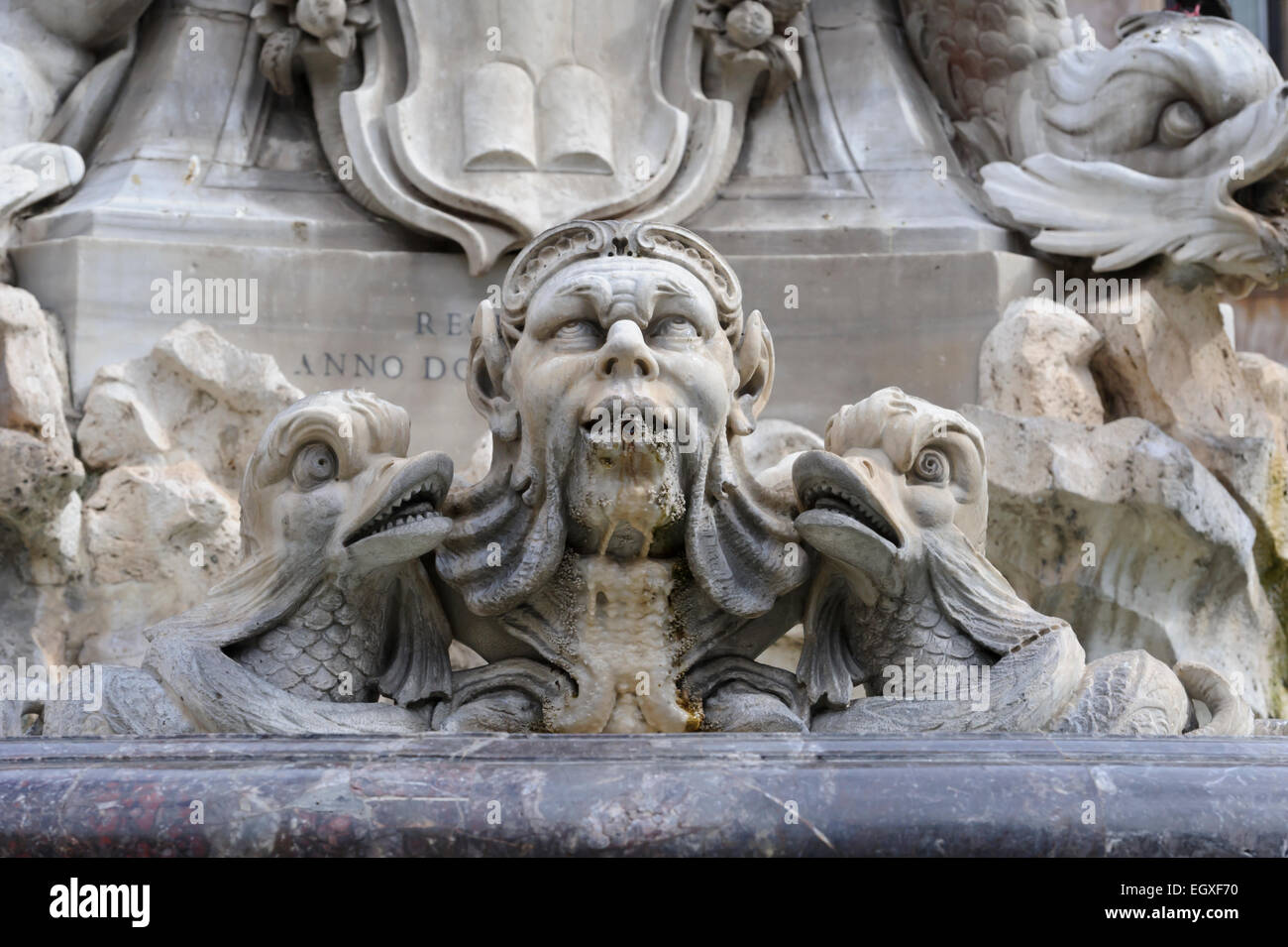 Human Face Fish High Resolution Stock Photography and Images - Alamy