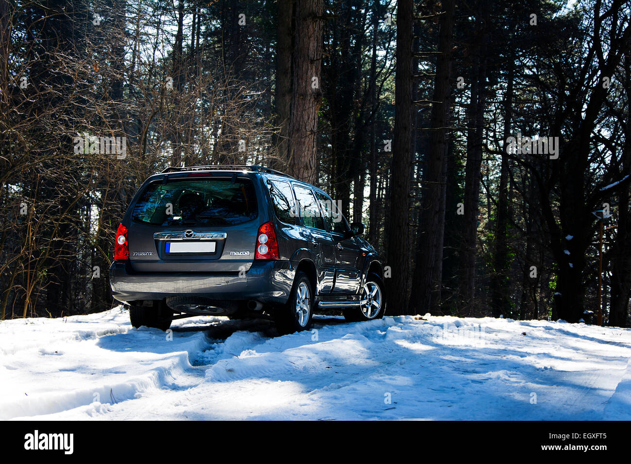 Back side of Mazda Tribute sport utiliy vehicle in mountain forest in ...