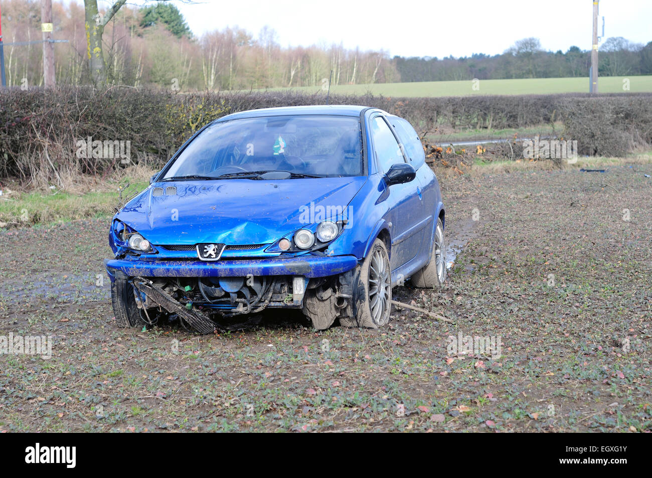 Car driving through field hi-res stock photography and images - Alamy