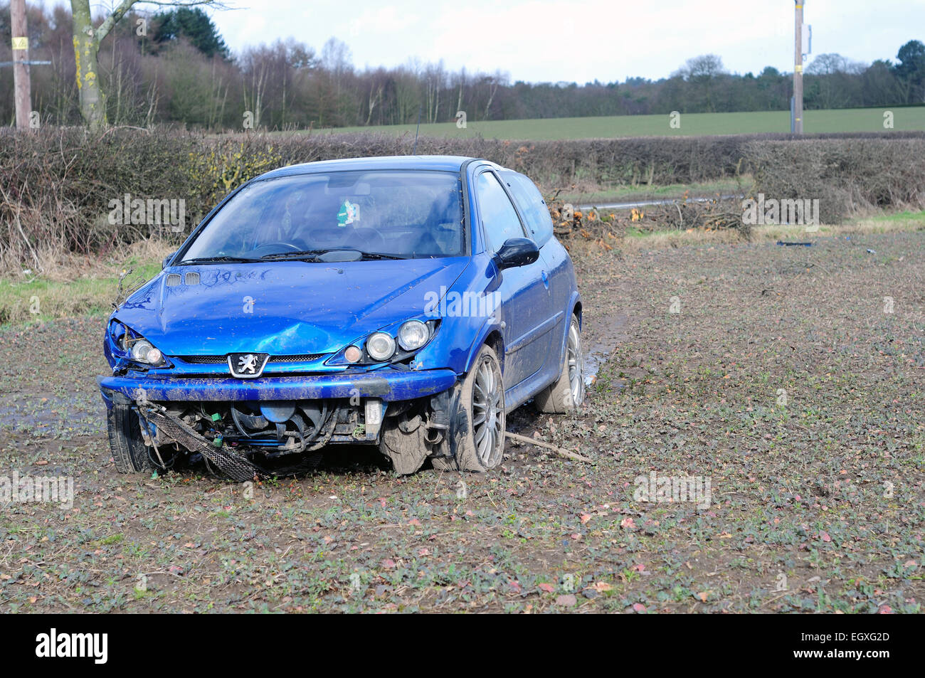 Car Through Hedge High Resolution Stock Photography and Images - Alamy