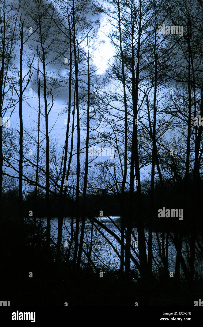 Moonlight view of Bodenham Lakes in Herefordshire Stock Photo - Alamy