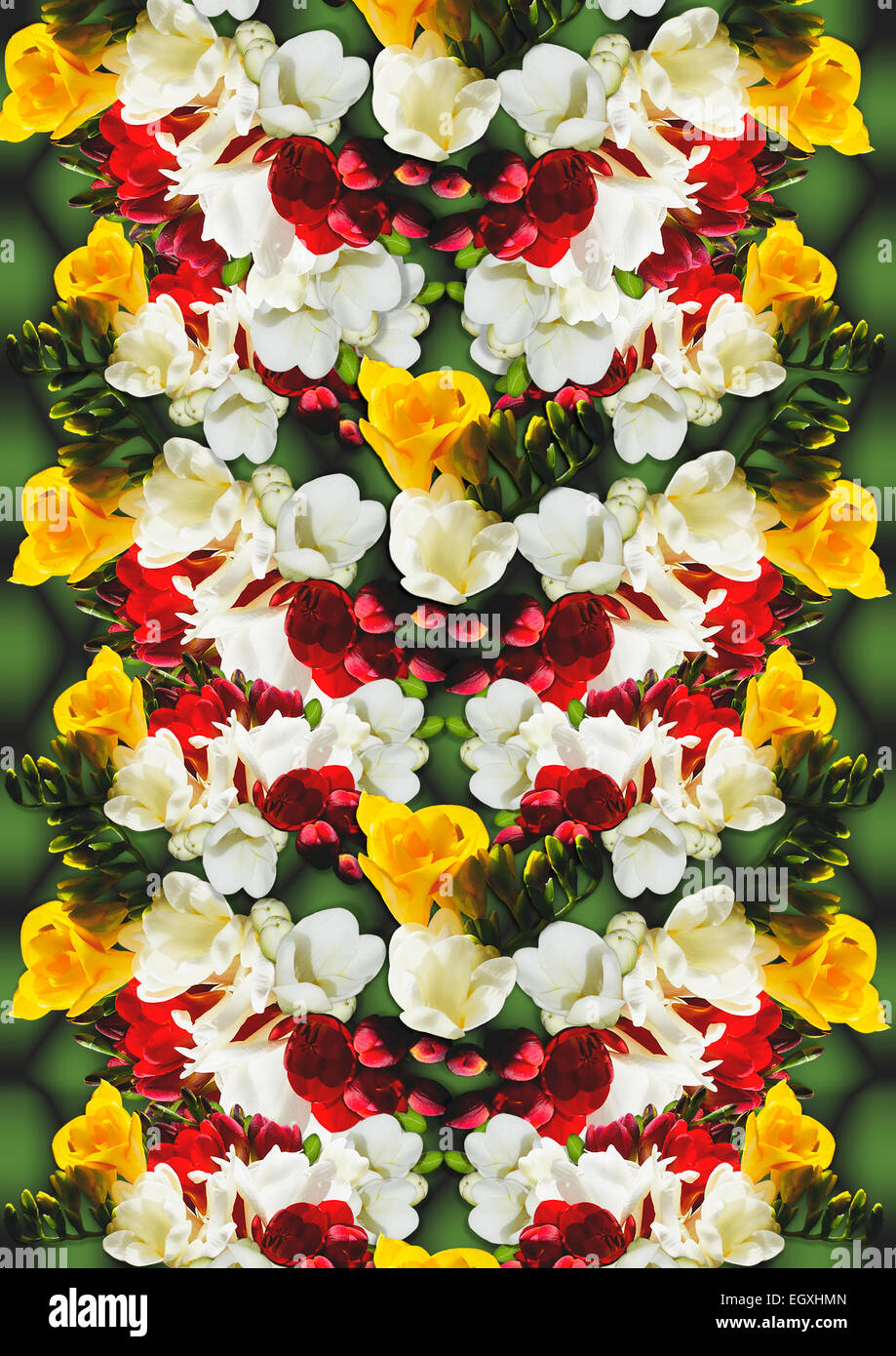 Background of different color flowers freesia Stock Photo - Alamy