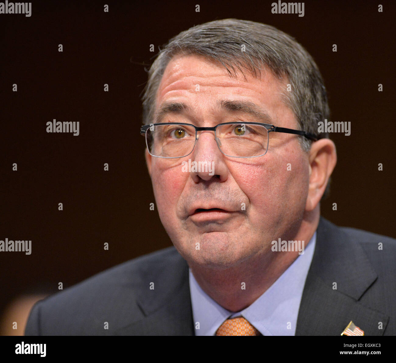 Washington, DC, USA. 3rd Mar, 2015. U.S. Defense Secretary Ashton ...