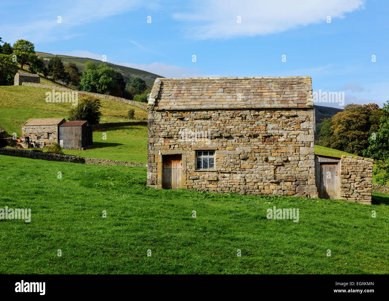 Stone barns and dry stone walls near Muker, Swaledale Stock Photo - Alamy