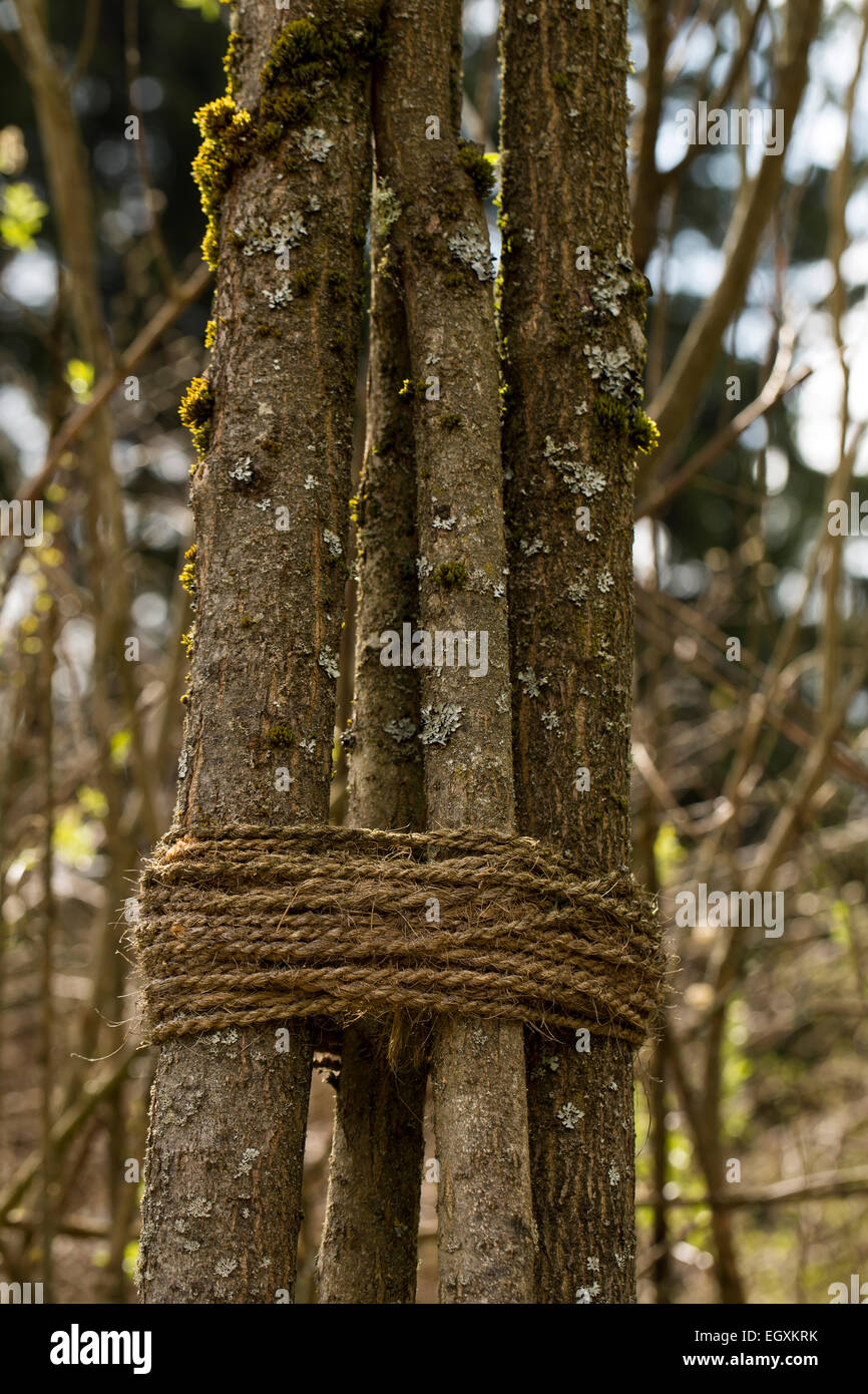 Tied Together Stock Photos & Tied Together Stock Images - Alamy